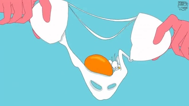 Яички eggs - Coub - The Biggest Video Meme Platform