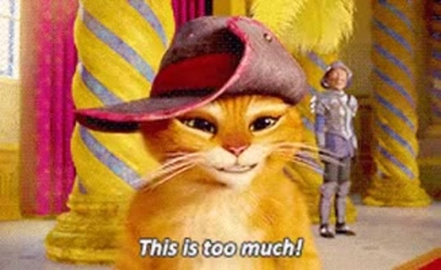 Cute Puss in Boots - Coub - The Biggest Video Meme Platform