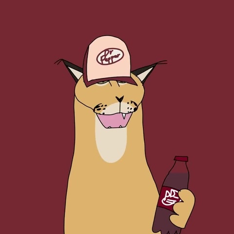 cat soda - Coub - The Biggest Video Meme Platform