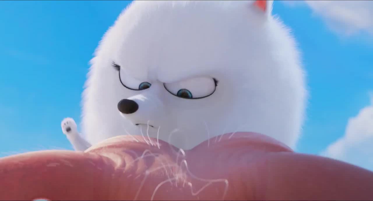 The Secret Life Of Pets - Trailer #3 (HD) - Illumination - Coub - The ...