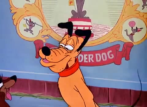 #Pluto 15 - Coub - The Biggest Video Meme Platform