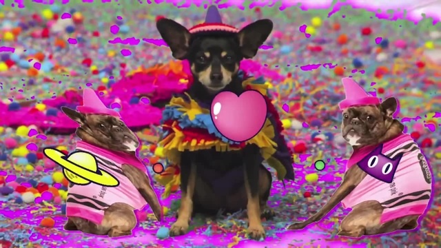 Ubisoft have made a song about Chihuahuas (for Just Dance 2016) - Coub ...