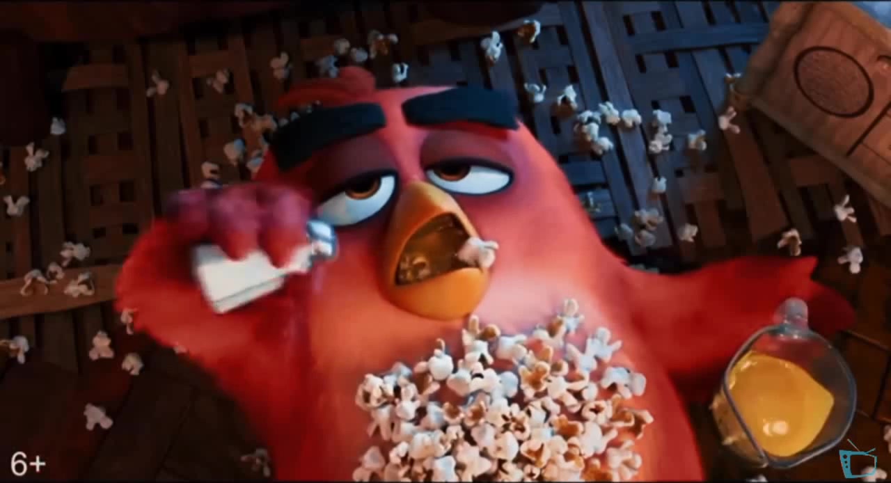 Angry birds - Coub - The Biggest Video Meme Platform