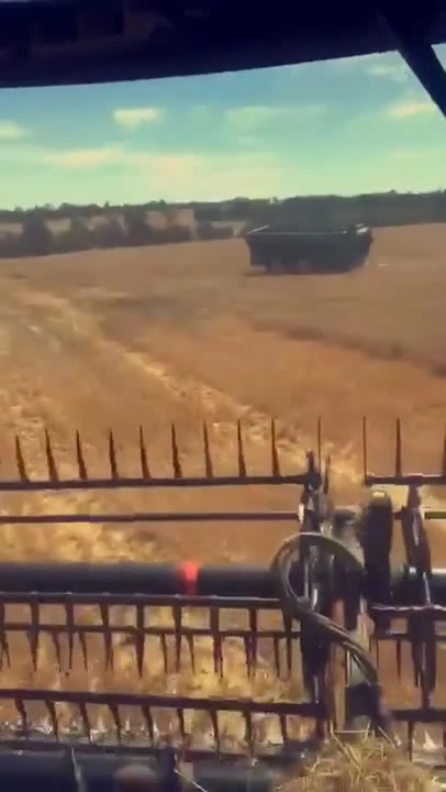 See you again🎥 - Coub - The Biggest Video Meme Platform