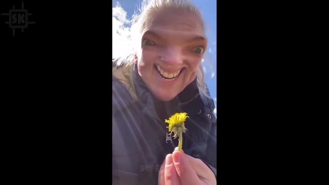 Oh look a dandelion, but the GIRL is different - Coub - The Biggest ...