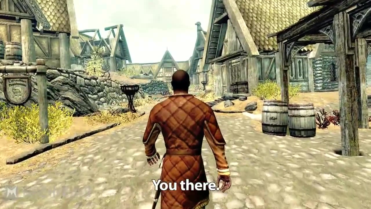 Gamer Poop - Skyrim (#5) - Coub - The Biggest Video Meme Platform