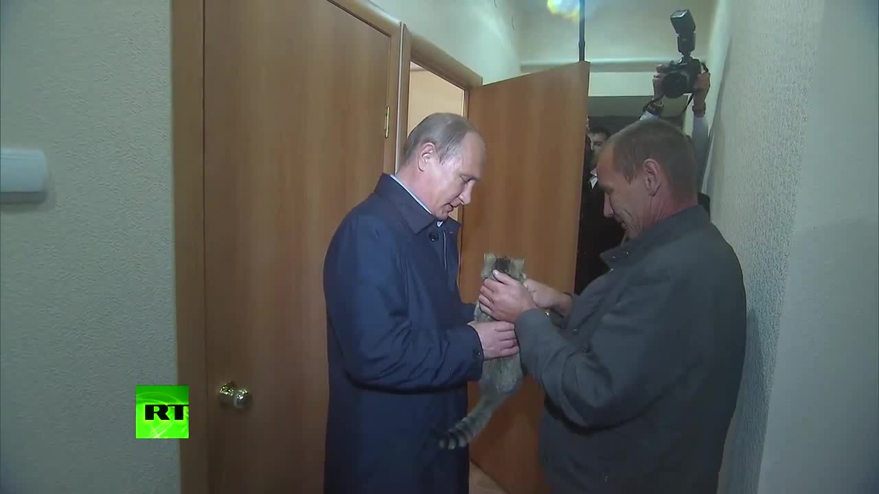 Nothing to see here: Just Putin cuddling a fluffy cat - Coub - The Biggest Video Meme Platform