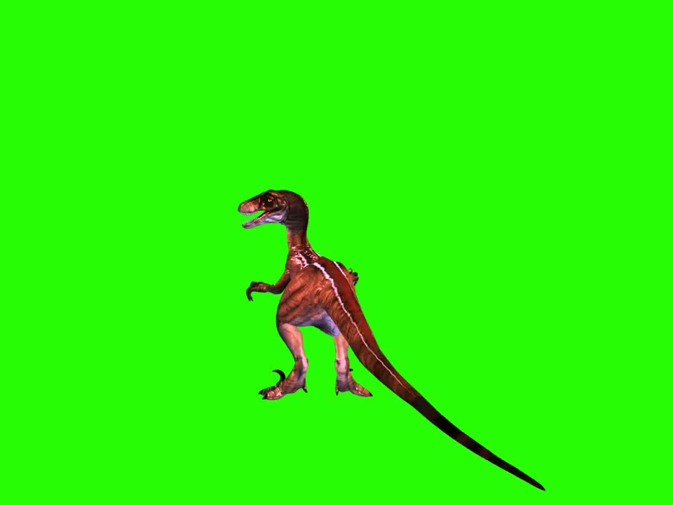 Dancing Raptor on GreenScreen - Coub - The Biggest Video Meme Platform