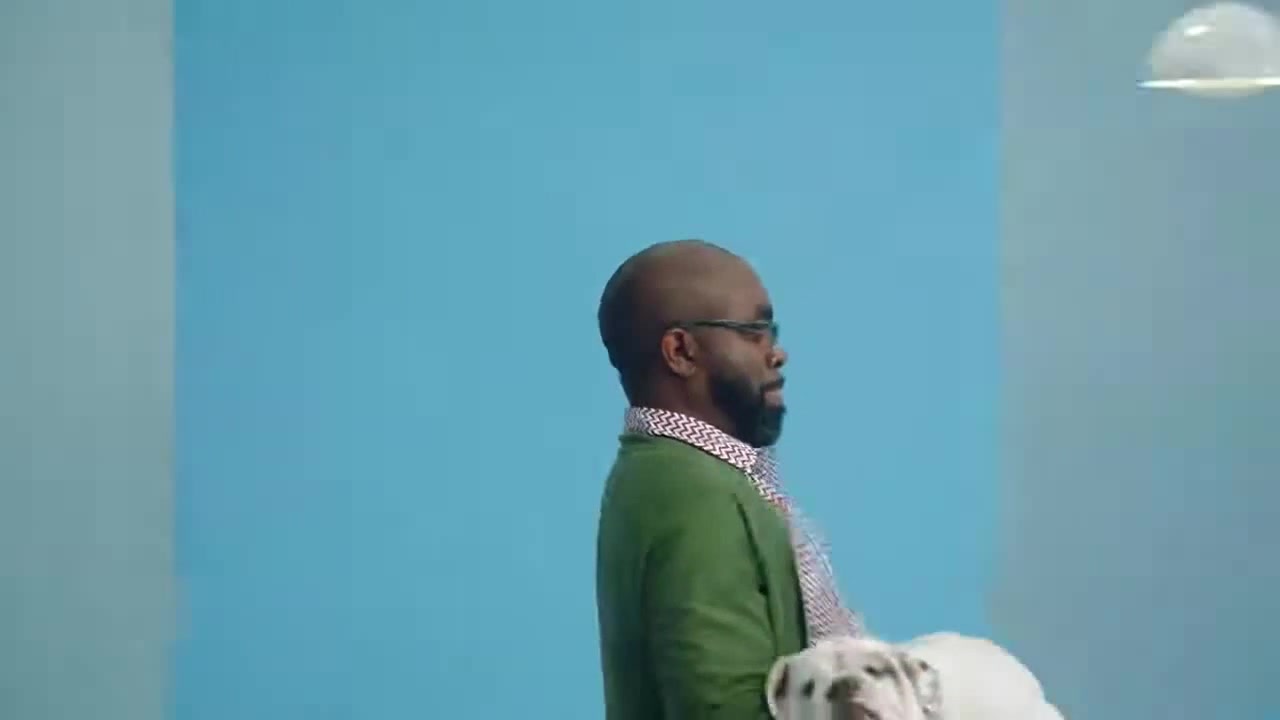 BarkBox, Stairmaster - Coub - The Biggest Video Meme Platform