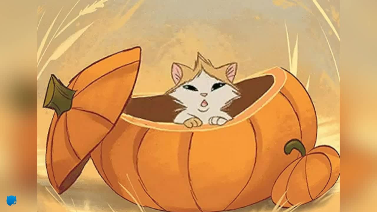 Stupid Kittens Coub The Biggest Video Meme Platform
