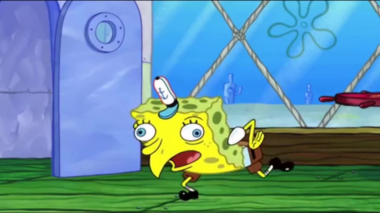 spongebird - Coub - The Biggest Video Meme Platform
