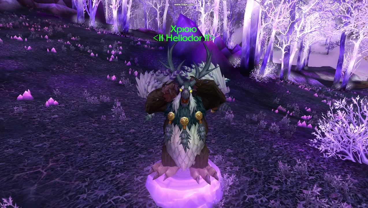 WOW MOONKIN - Coub - The Biggest Video Meme Platform