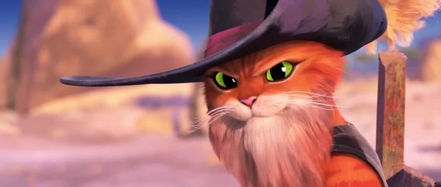 The Bearded Cat - Coub - The Biggest Video Meme Platform