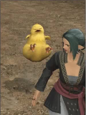 Crazy chocobo Final Fantasy XIV - Coub - The Biggest Video Meme Platform