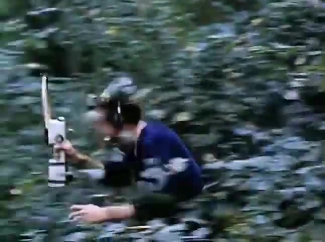 Frisson continuum. Охота на лис (1980) - Coub - The Biggest Video Meme ...