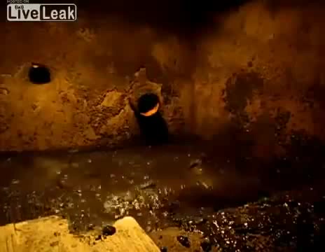 Man swimming septic tank - Coub - The Biggest Video Meme Platform