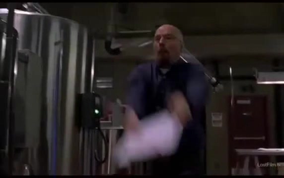 a fly bitch - Coub - The Biggest Video Meme Platform