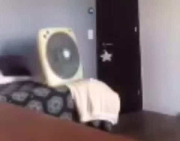 brr - Coub - The Biggest Video Meme Platform