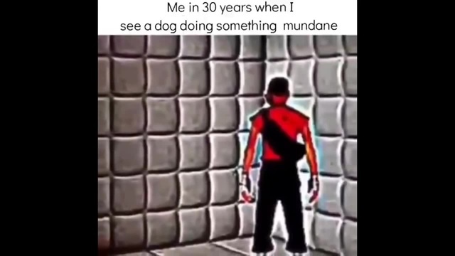 TF2 MEMES V8 - Coub - The Biggest Video Meme Platform