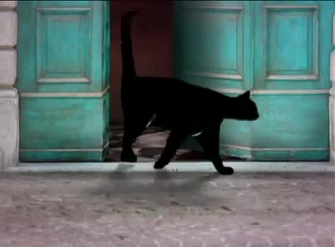 Seven Cats - Coub - The Biggest Video Meme Platform