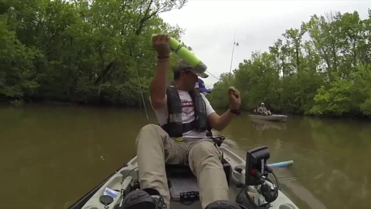 big ass gator - Coub - The Biggest Video Meme Platform