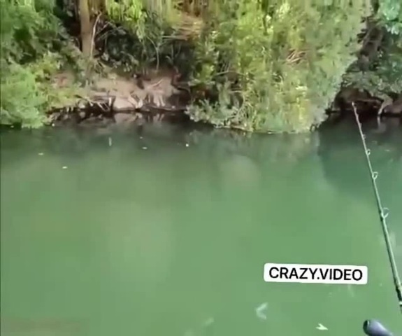 fishing - Coub - The Biggest Video Meme Platform