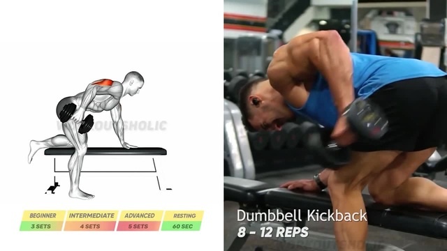 Dumbbell Kick Back - Triceps - Coub - The Biggest Video Meme Platform