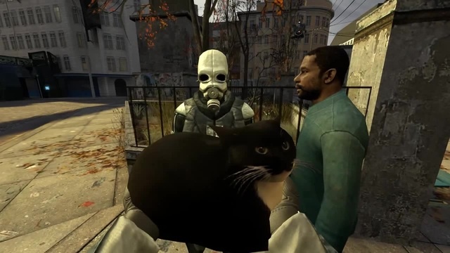 Half-Cat, Half-Hat, Half-Life - Coub - The Biggest Video Meme Platform