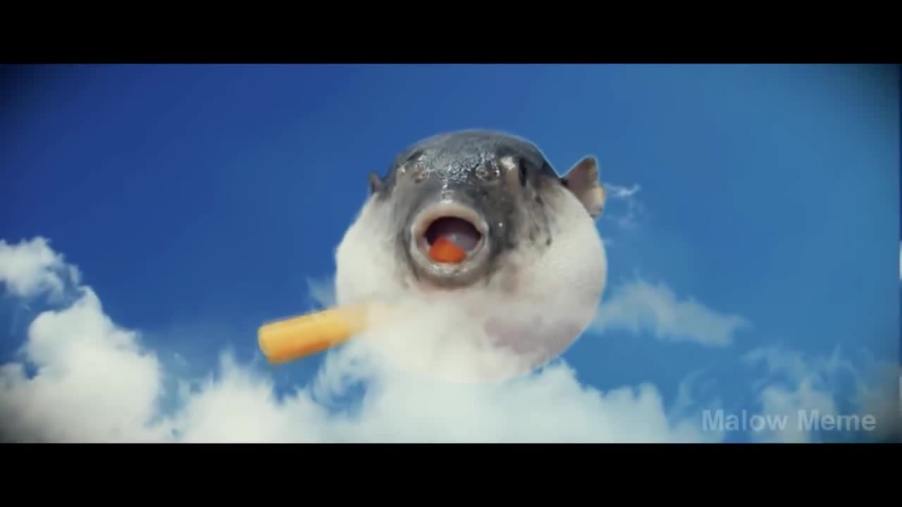 Rick Astley - Never Gonna Give You Up - Puffer fish - Coub - The Biggest Video Meme Platform