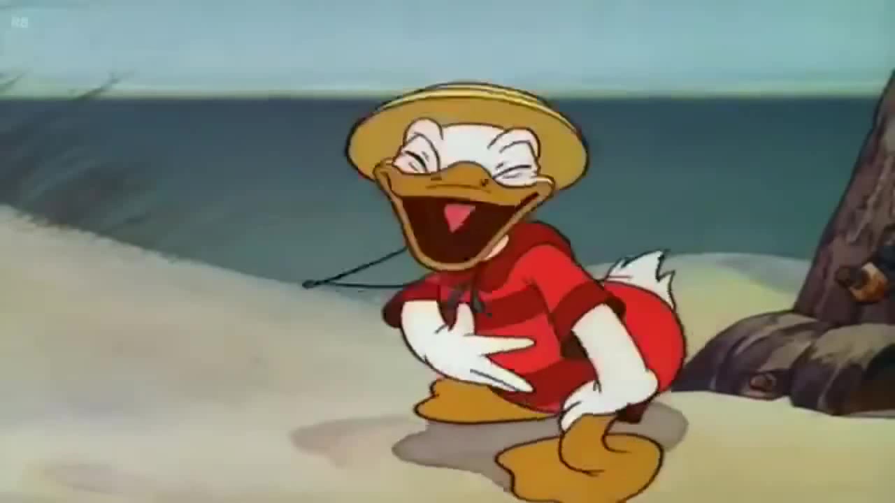 Donald Duck - Beach Picnic 19 - Coub - The Biggest Video Meme Platform