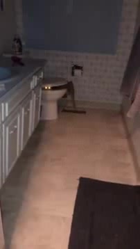 Toilet creature - Coub - The Biggest Video Meme Platform
