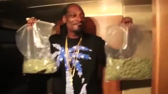 Снуп Догг с пакетами травы (Snoop Dogg sings with weed) - Coub - The Biggest Video Meme Platform