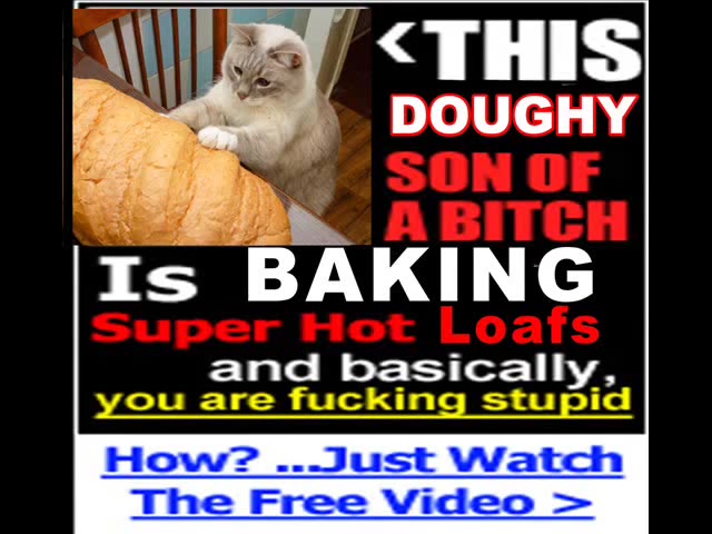 Blini Kot - The muscial (Cat Jazz compilation) - Coub - The Biggest Video Meme Platform