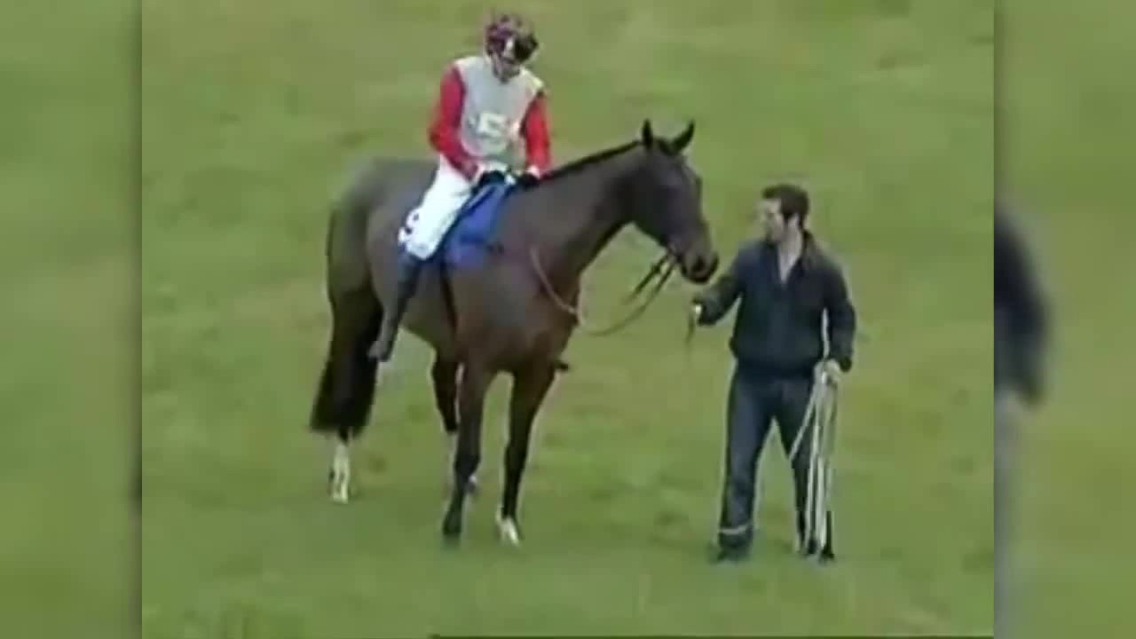 Gangsta horse - Coub - The Biggest Video Meme Platform