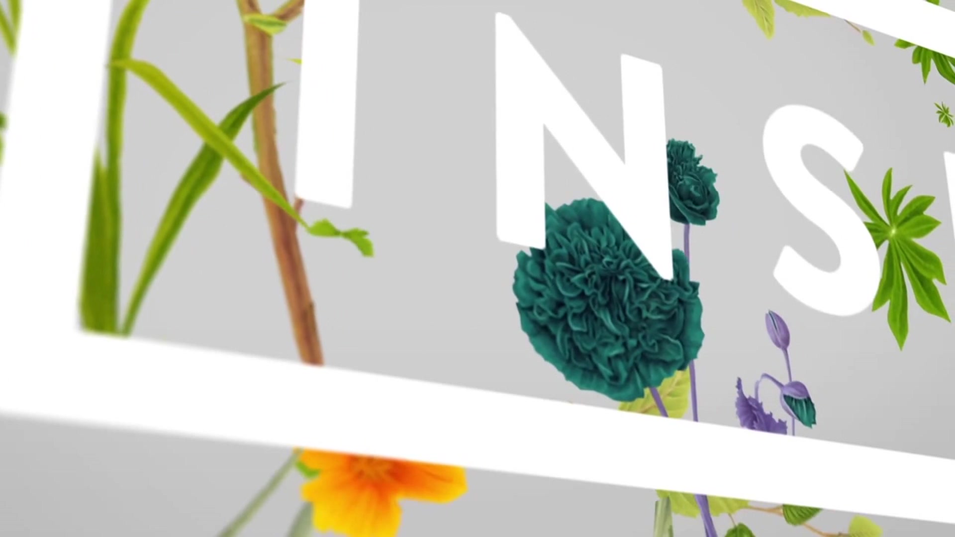 DWRK REEL 2014 [Dirty Work Factory] - Coub - The Biggest Video Meme ...