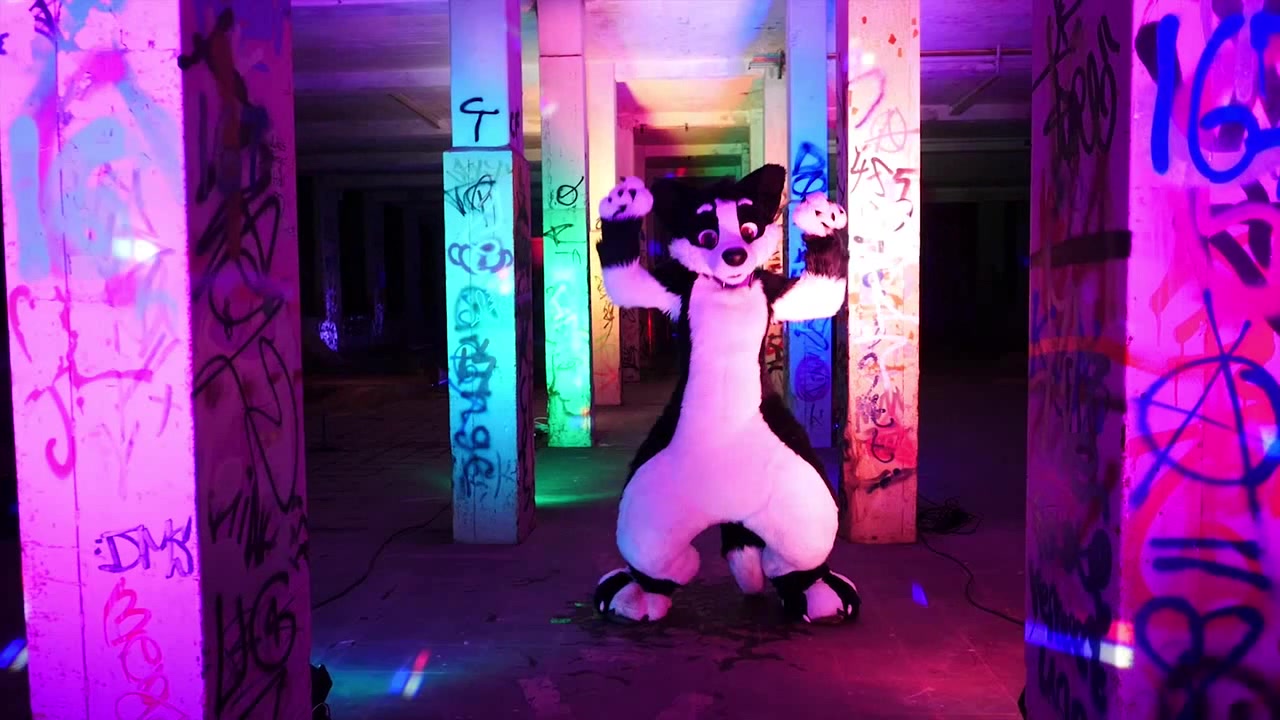 「Colors」→ Furry Music Video - Coub - The Biggest Video Meme Platform