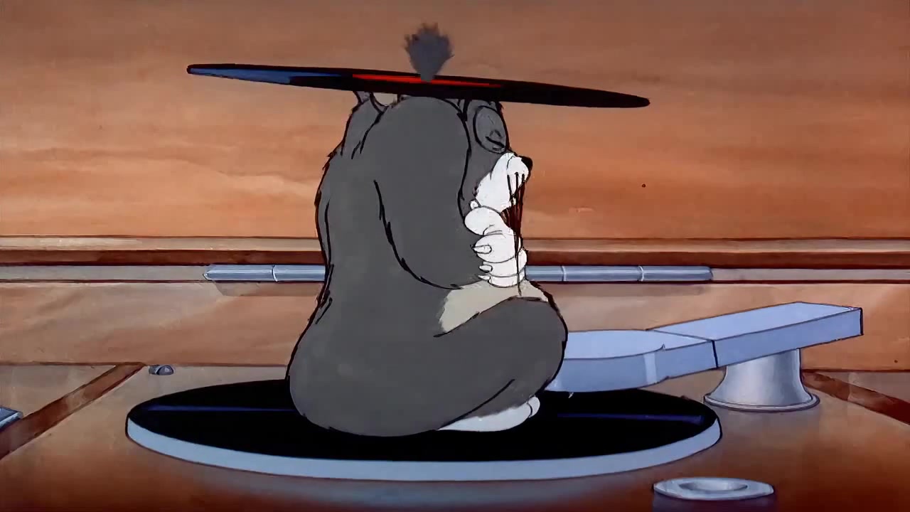 Thomas Cat - Chin Cheng hanji - Coub - The Biggest Video Meme Platform