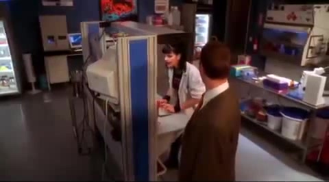 Two idiots on one keyboard :) (NCIS, hacking scene) - Coub - The ...