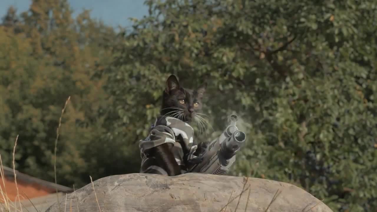 Cats Gunner - Coub - The Biggest Video Meme Platform