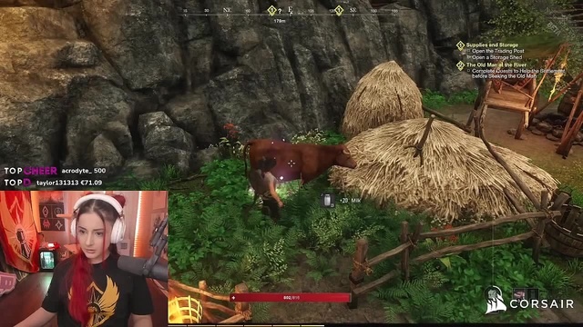 Admin's cow - Coub - The Biggest Video Meme Platform