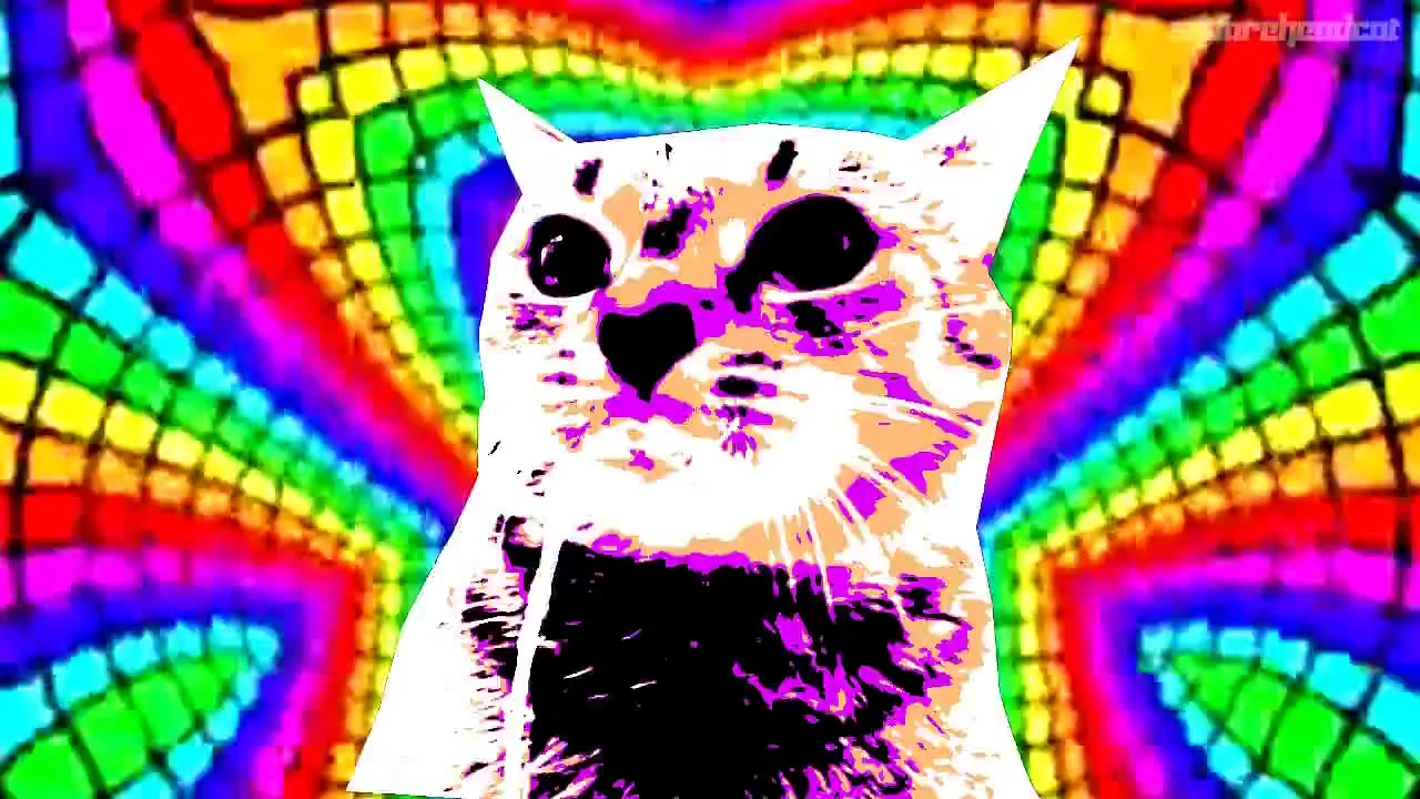 ACID CAT - Coub - The Biggest Video Meme Platform