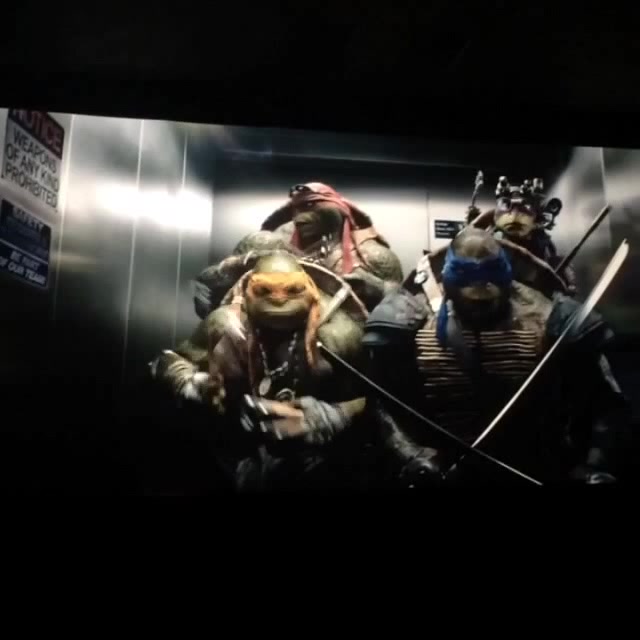 cherepashki ninja - Coub - The Biggest Video Meme Platform