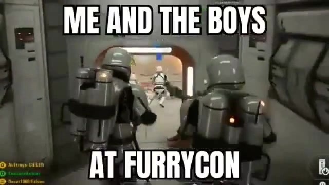 At furrycon - Coub - The Biggest Video Meme Platform