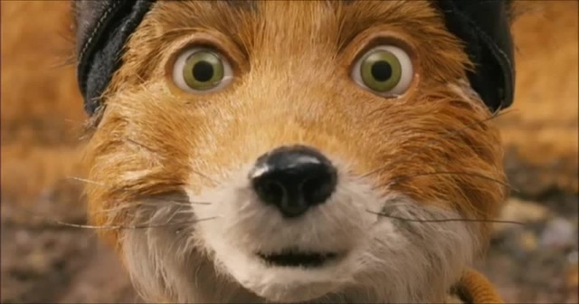 Fantastic Mr. Fox meet Canis Lupus - Coub - The Biggest Video Meme Platform