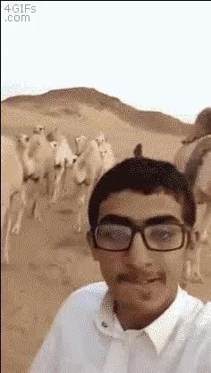 112 tavze ukbina - Coub - The Biggest Video Meme Platform