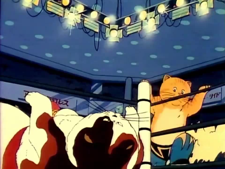 Cat Wrestling - Coub - The Biggest Video Meme Platform