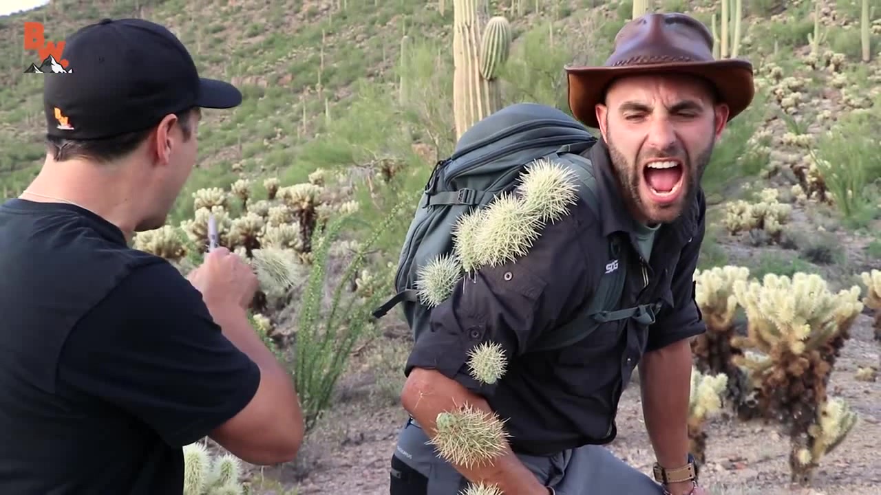EXTREME Cactus Attack! - Coub - The Biggest Video Meme Platform