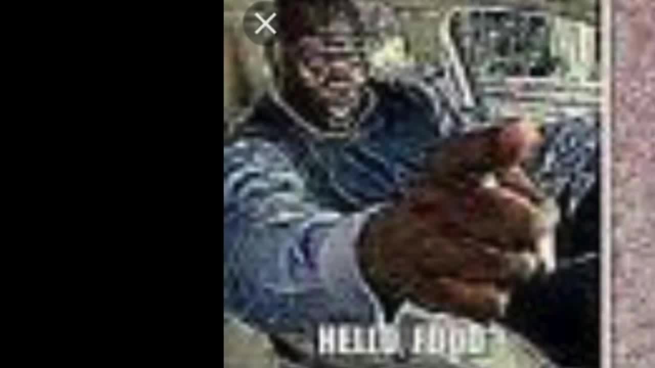 HELLO FOOD? FOOD BROKE. UNDERSTANDABLE, HAVE A GREAT DAY. - Coub - The ...