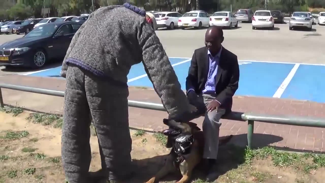 Dog 007 - Coub - The Biggest Video Meme Platform