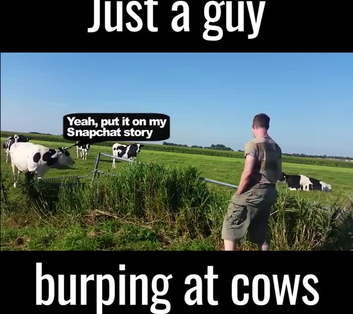 Just A Guy Burping At Cows - Coub - The Biggest Video Meme Platform